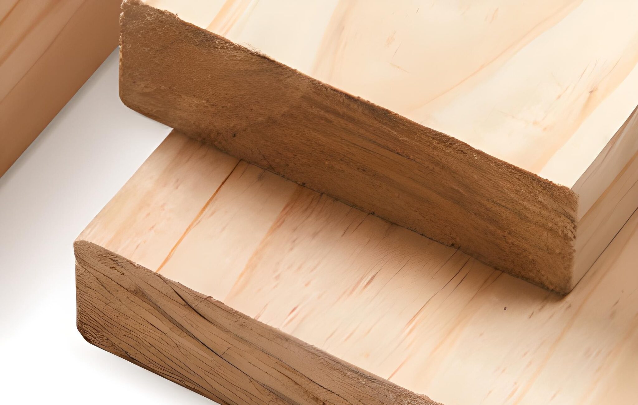 » Madera21 lanza sección web para fomentar el uso de la madera ...