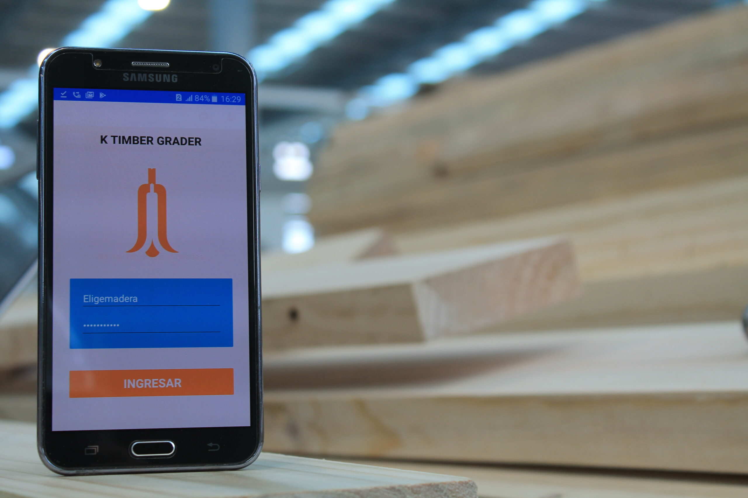 K Timber Grader: La Start-up que midió la calidad de la madera con un ...